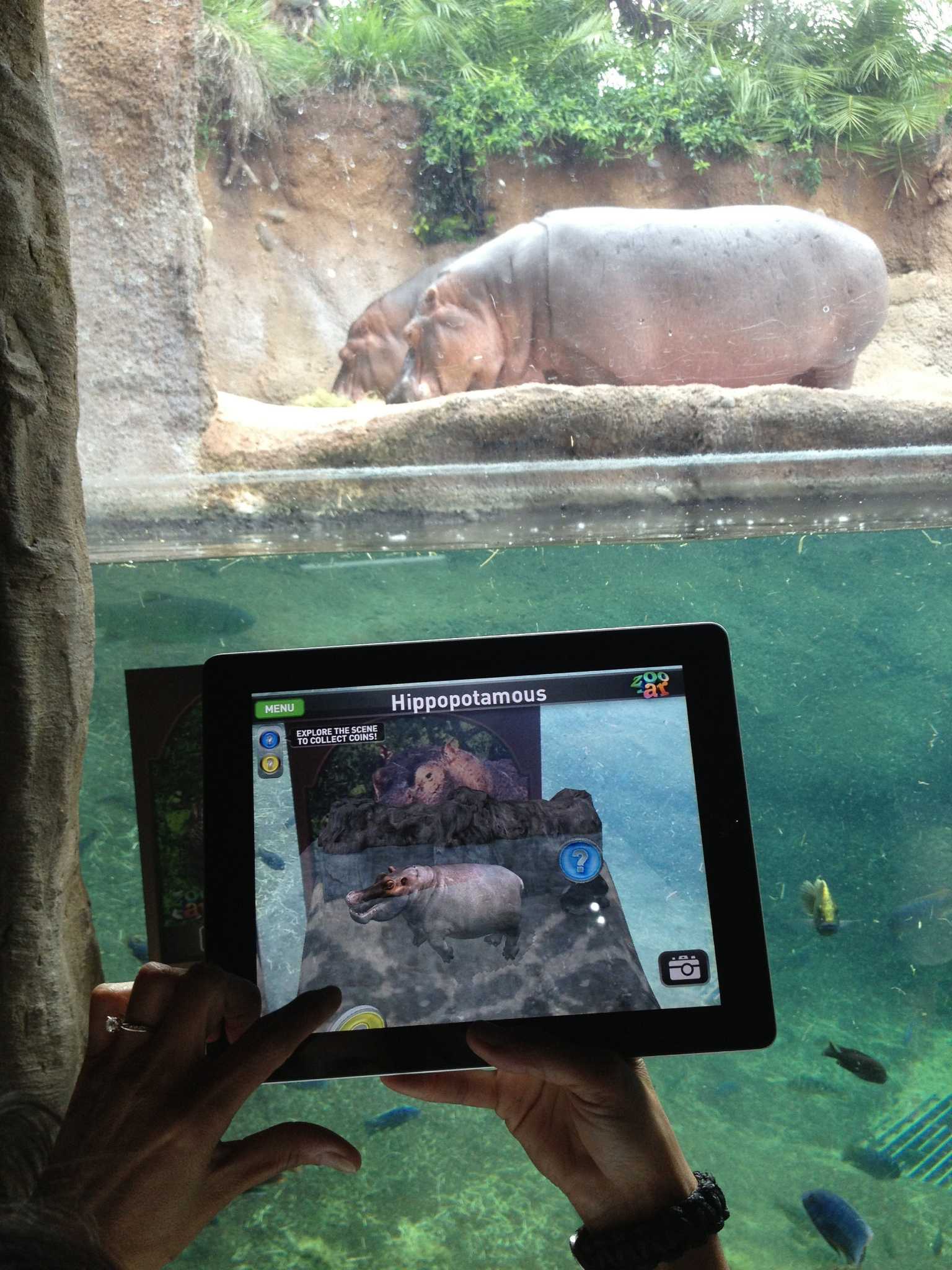 Zoo animals just a touch away