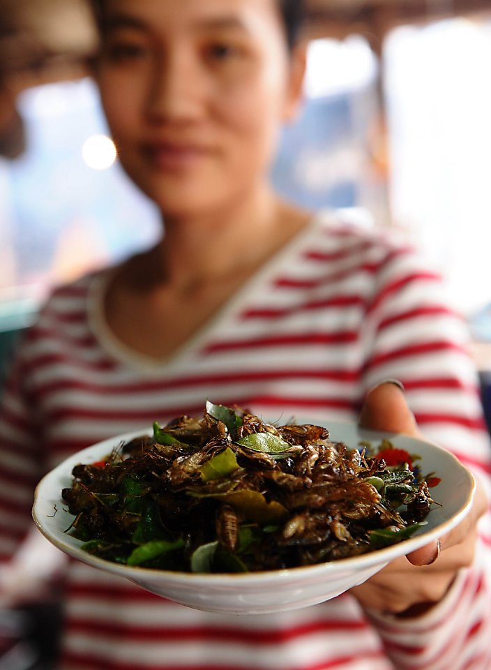 How many insect fragments do we eat?