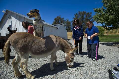 Day in Pictures, May 31, 2013