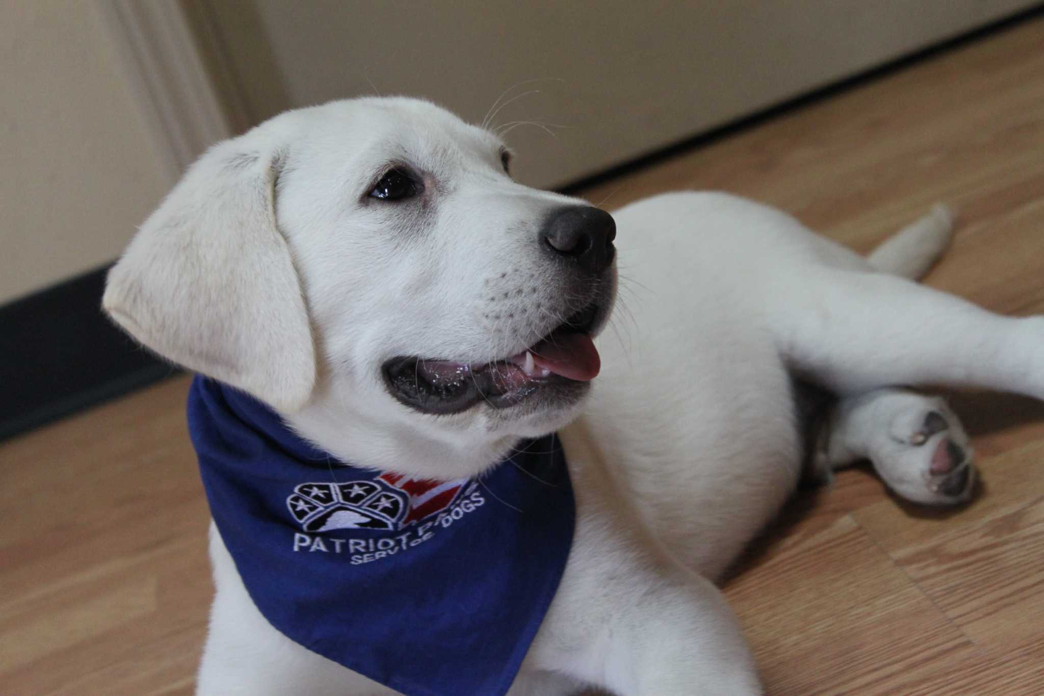 A big honor to have service dog named after you