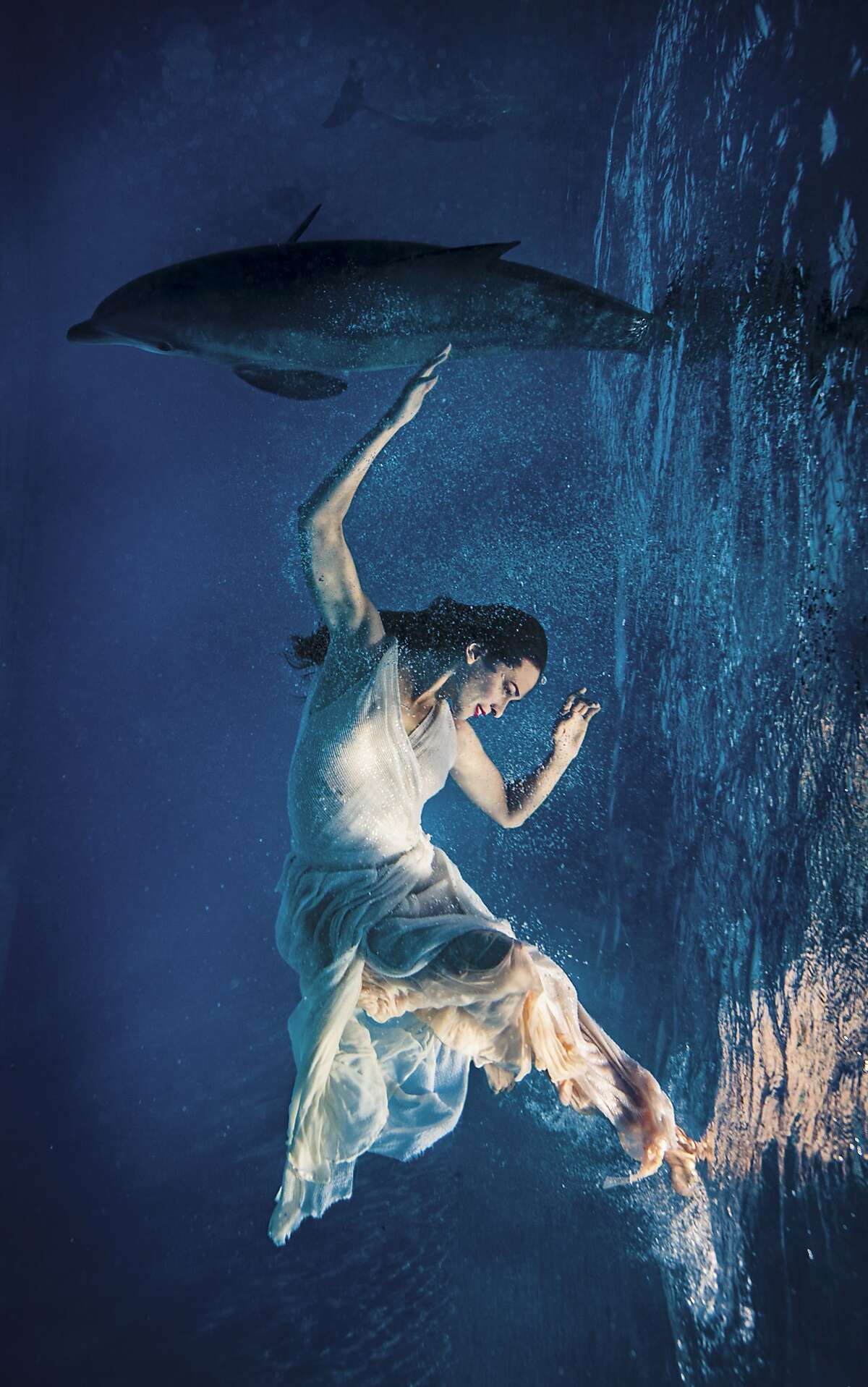 San Francisco Chronicle takes honors in '13 contest