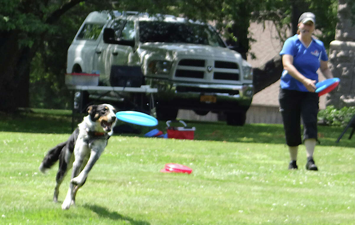 Connecticut's companies