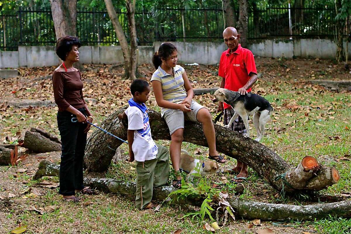 Kabang the hero dog heals, heads home