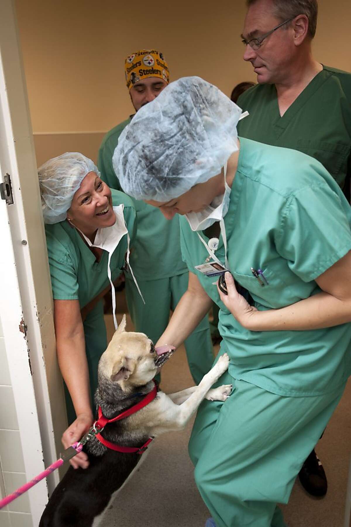 Kabang the hero dog heals, heads home
