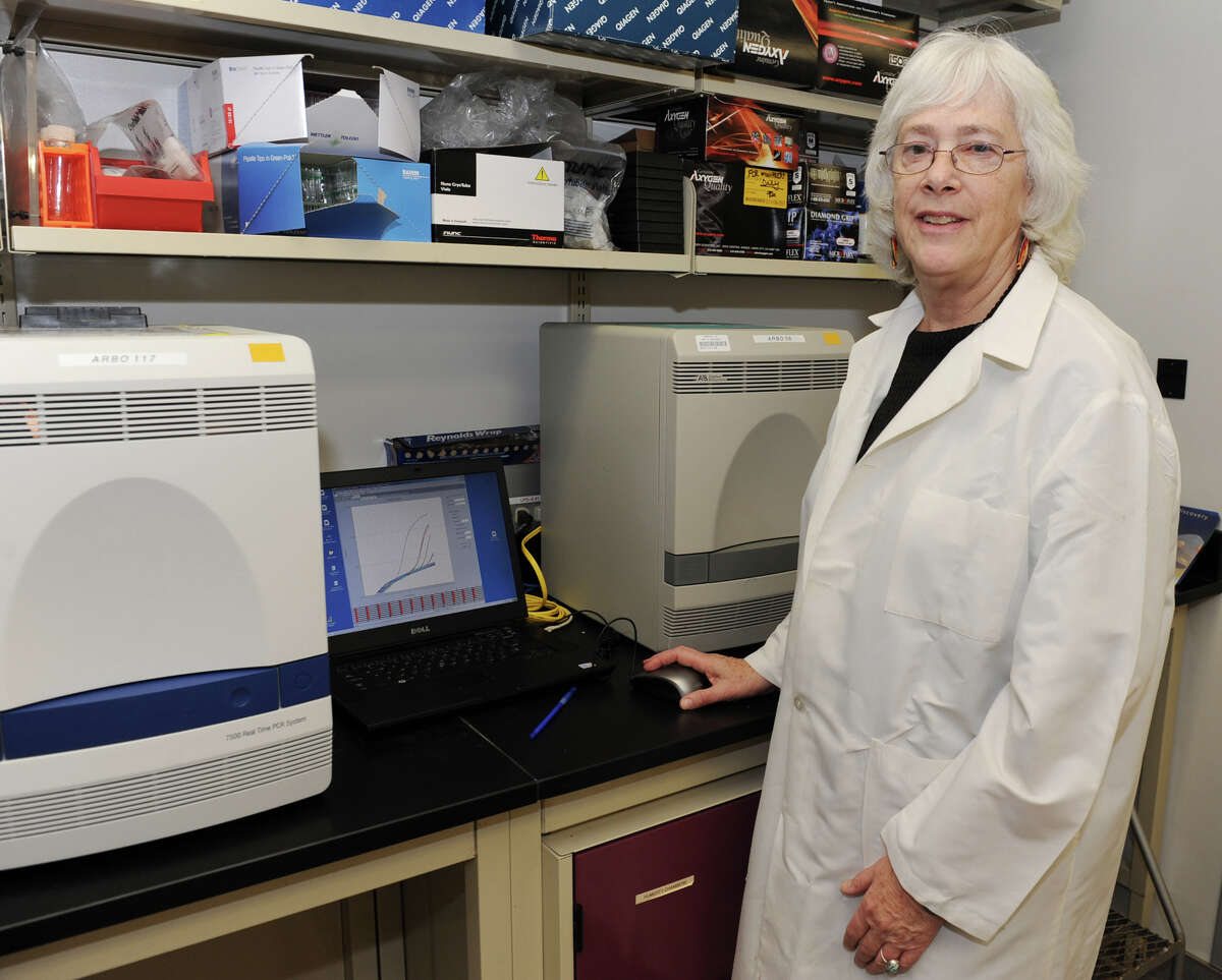 Studying West Nile virus, one mosquito at a time