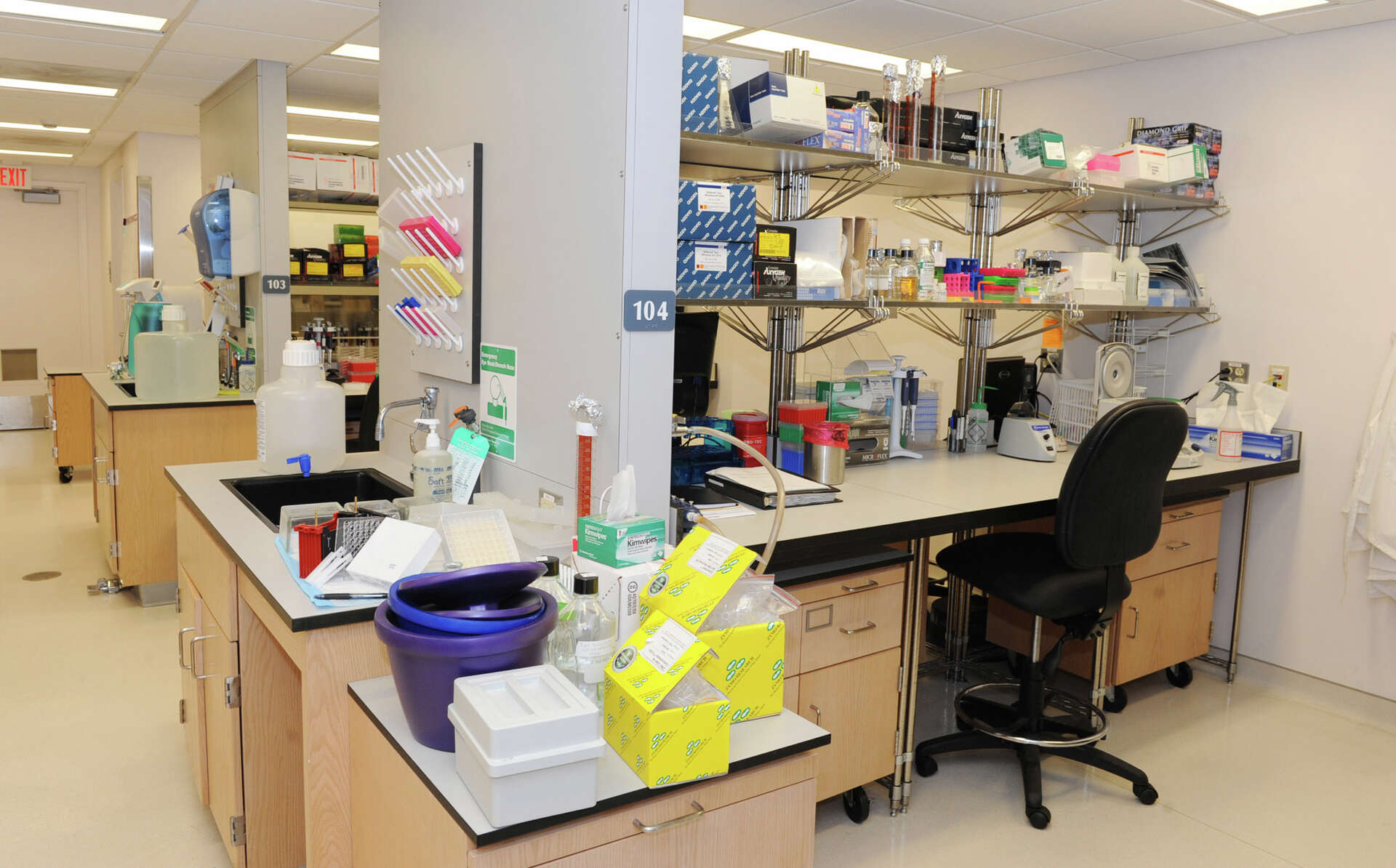 Studying West Nile virus, one mosquito at a time