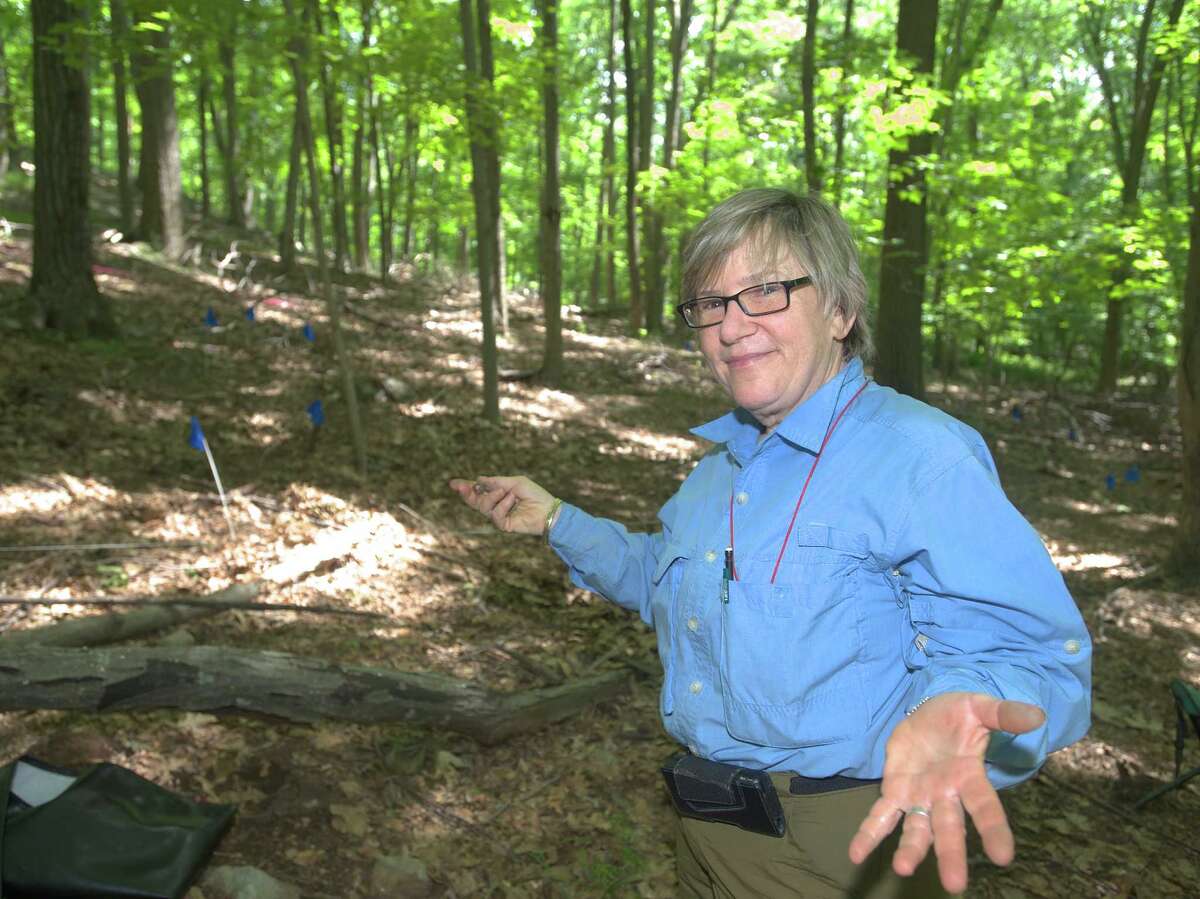 Searching by the inch for Revolutionary remains