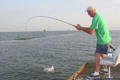 Outlook good for summer's inshore fishing scene
