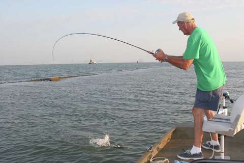 Outlook good for summer's inshore fishing scene