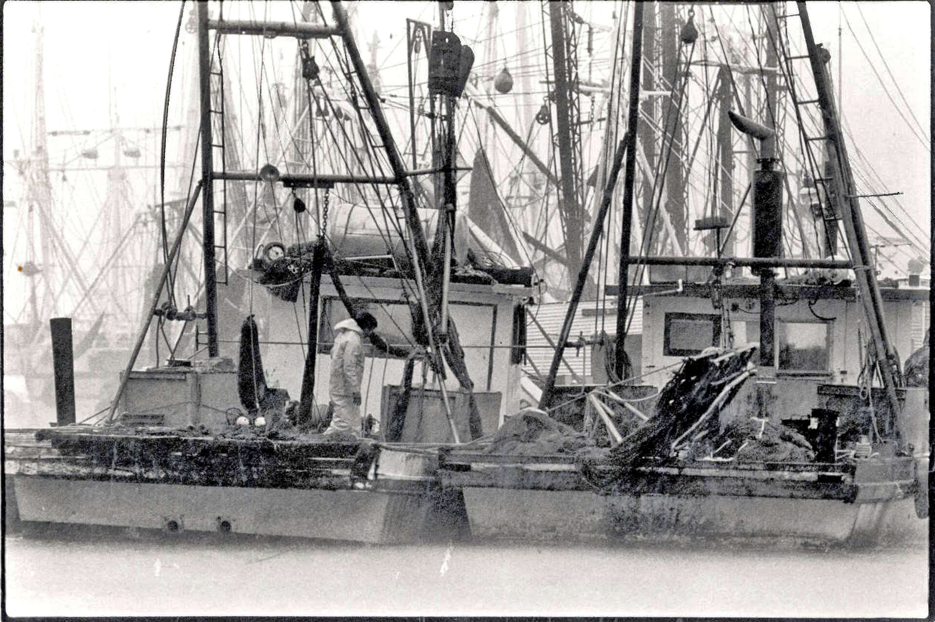 Remembering Hurricane Bonnie