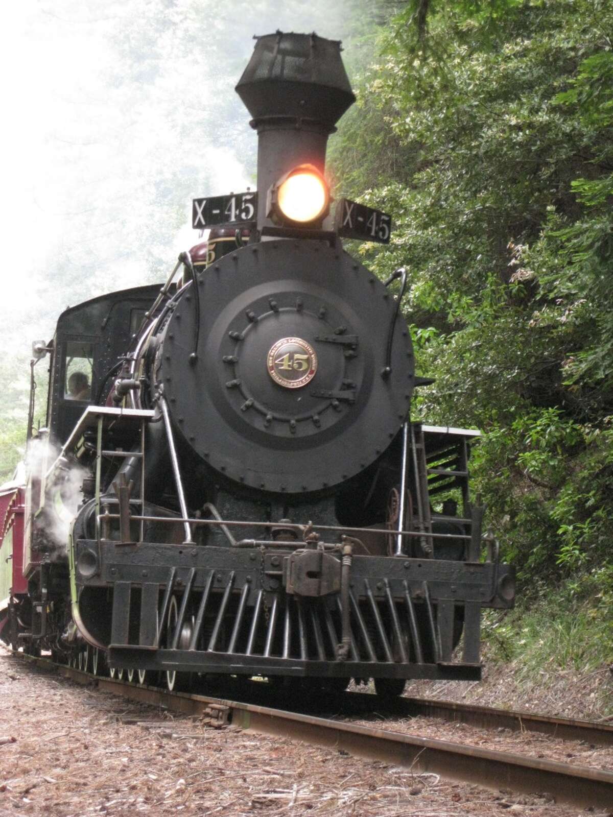 Conservation group helps save Skunk Train
