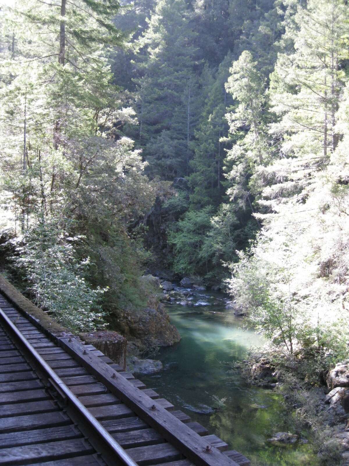Conservation group helps save Skunk Train