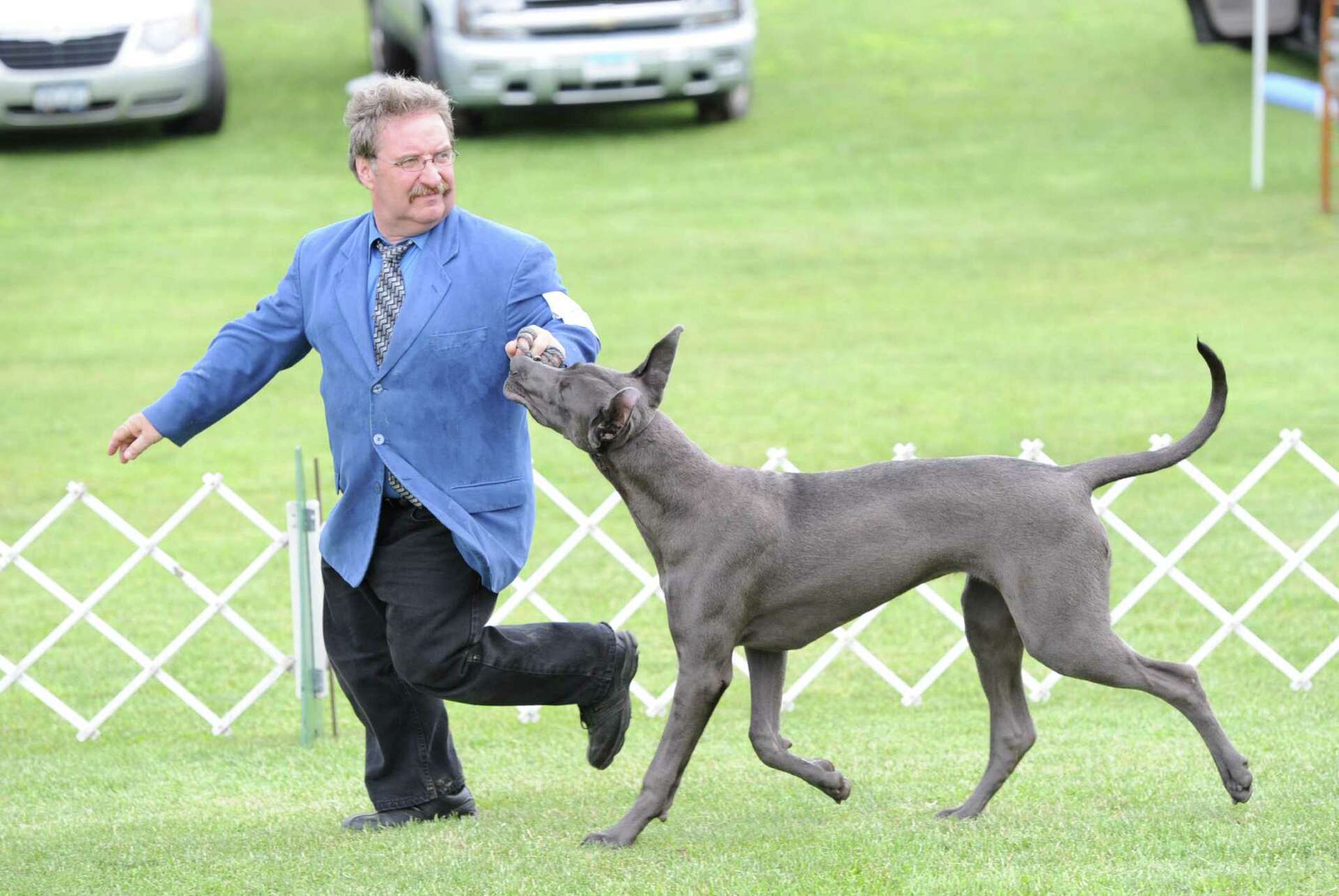 Greenwich Kennel Club plans for a day for the dogs