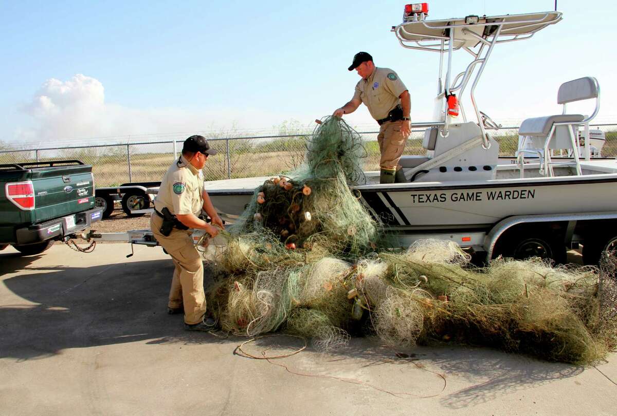 Dozens of dead sharks found in illegal gill net in the Gulf