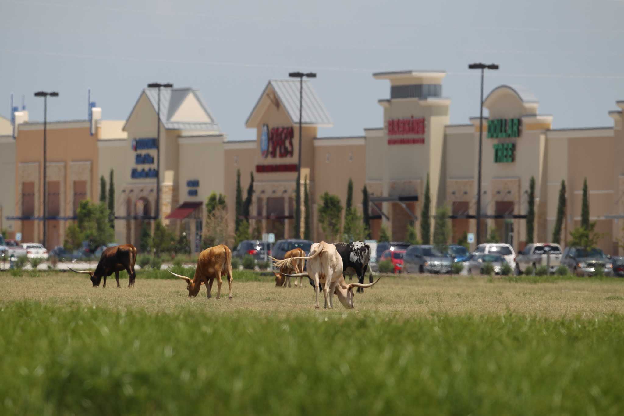Outlying cities see major shifts in daytime populations