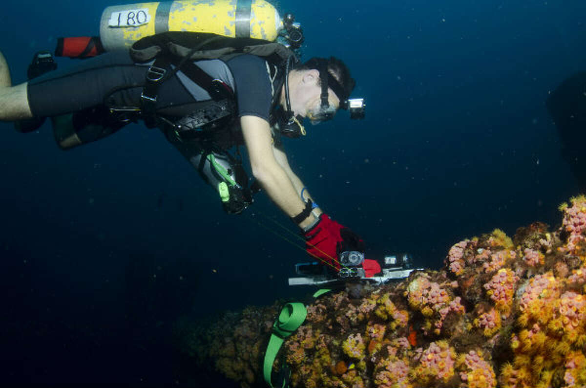 A lure for divers: Fighter jets as artificial reef