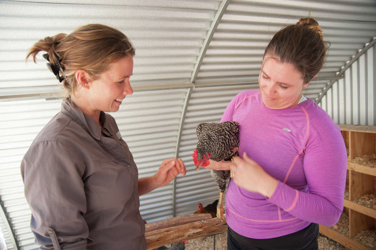 Resort teaches resource-friendly chicken-keeping