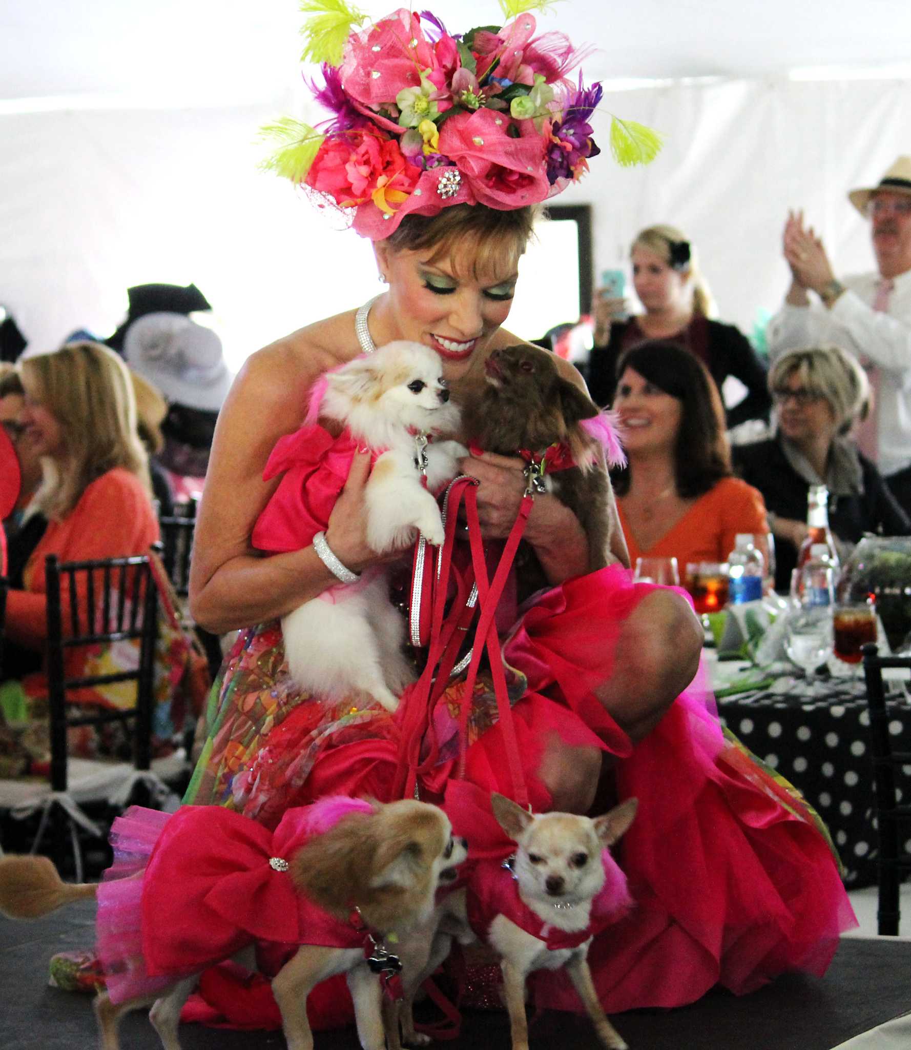 SEEN: Dogs and Divas fundraiser