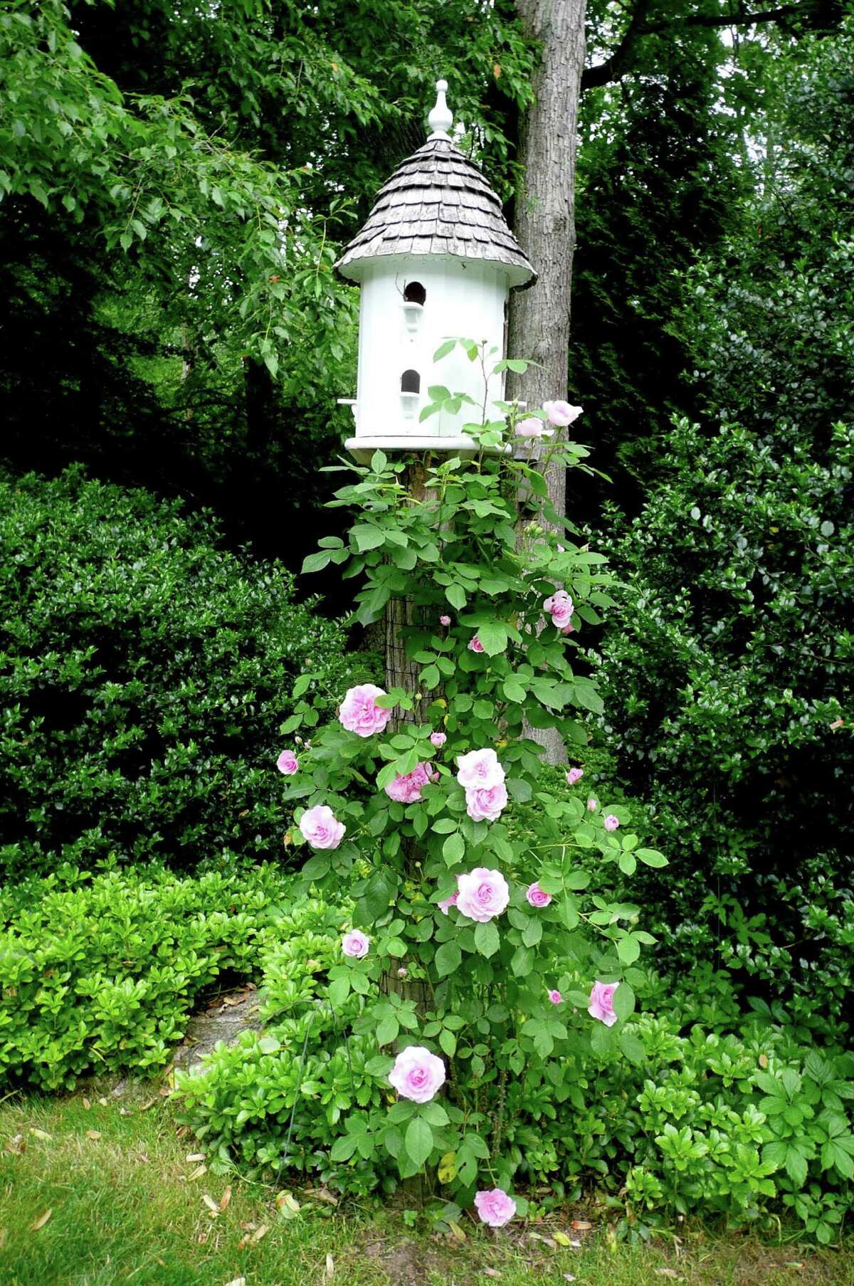 Grandiflora: Grand garden tour benefits GEC of Greenwich