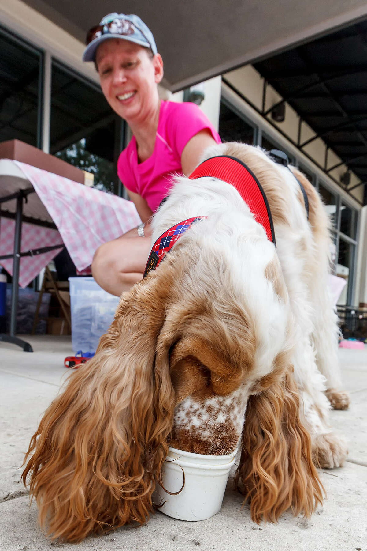 Guide to S.A.: Cool spots make summer fun