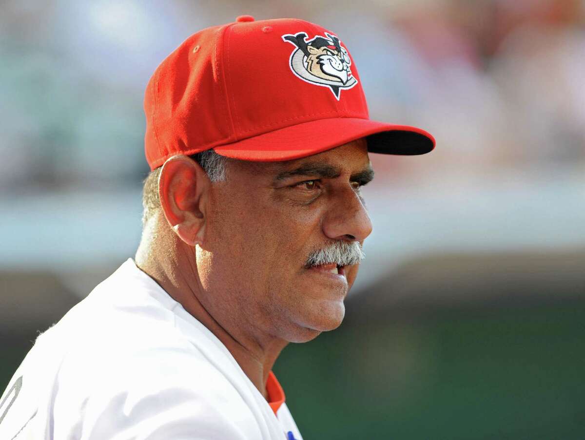 Fans give 'Cats loud welcome