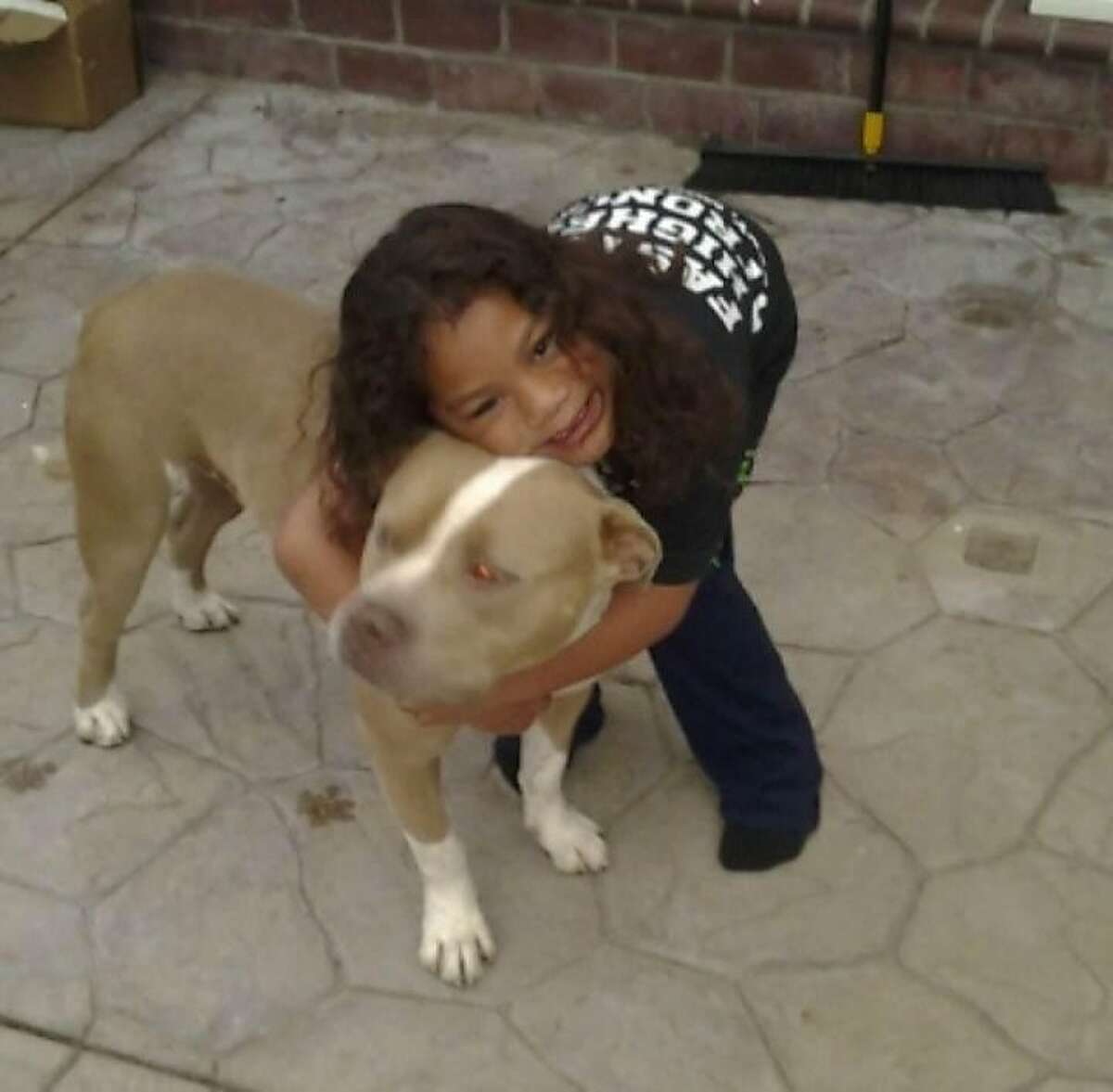 Often no warning signs in pit bull attacks