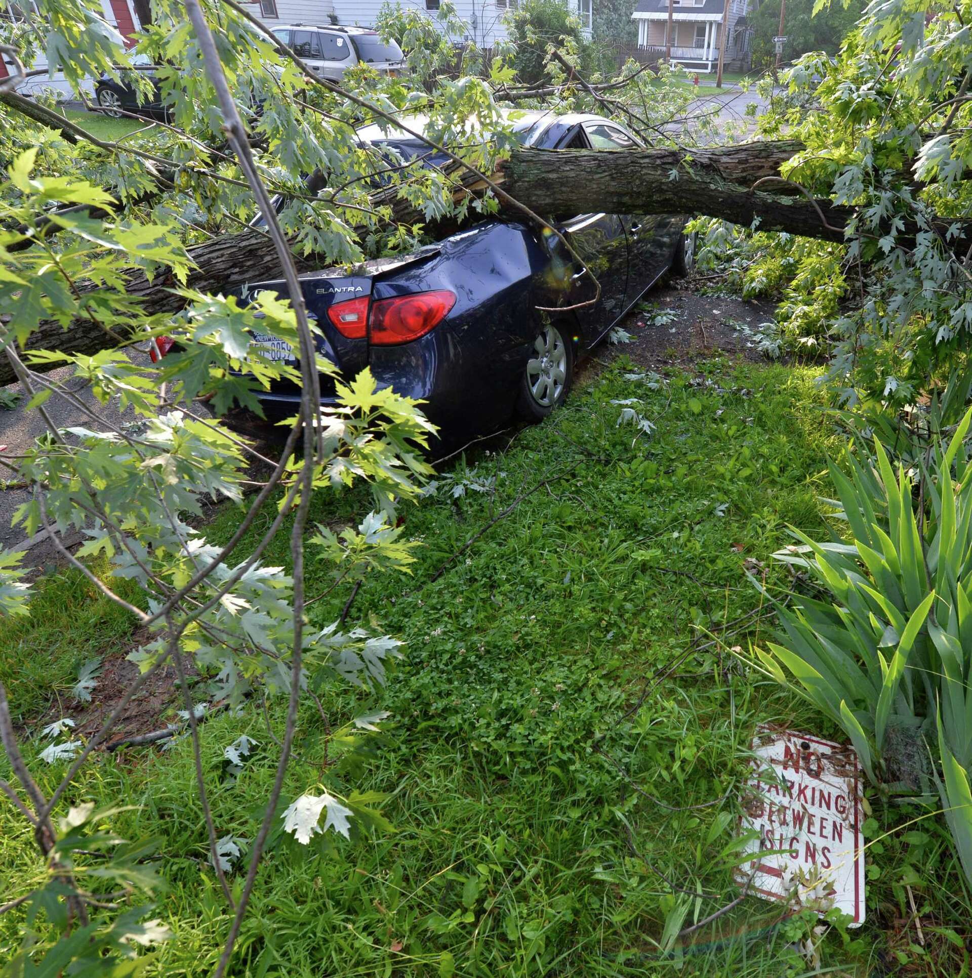 Storms wreak havoc