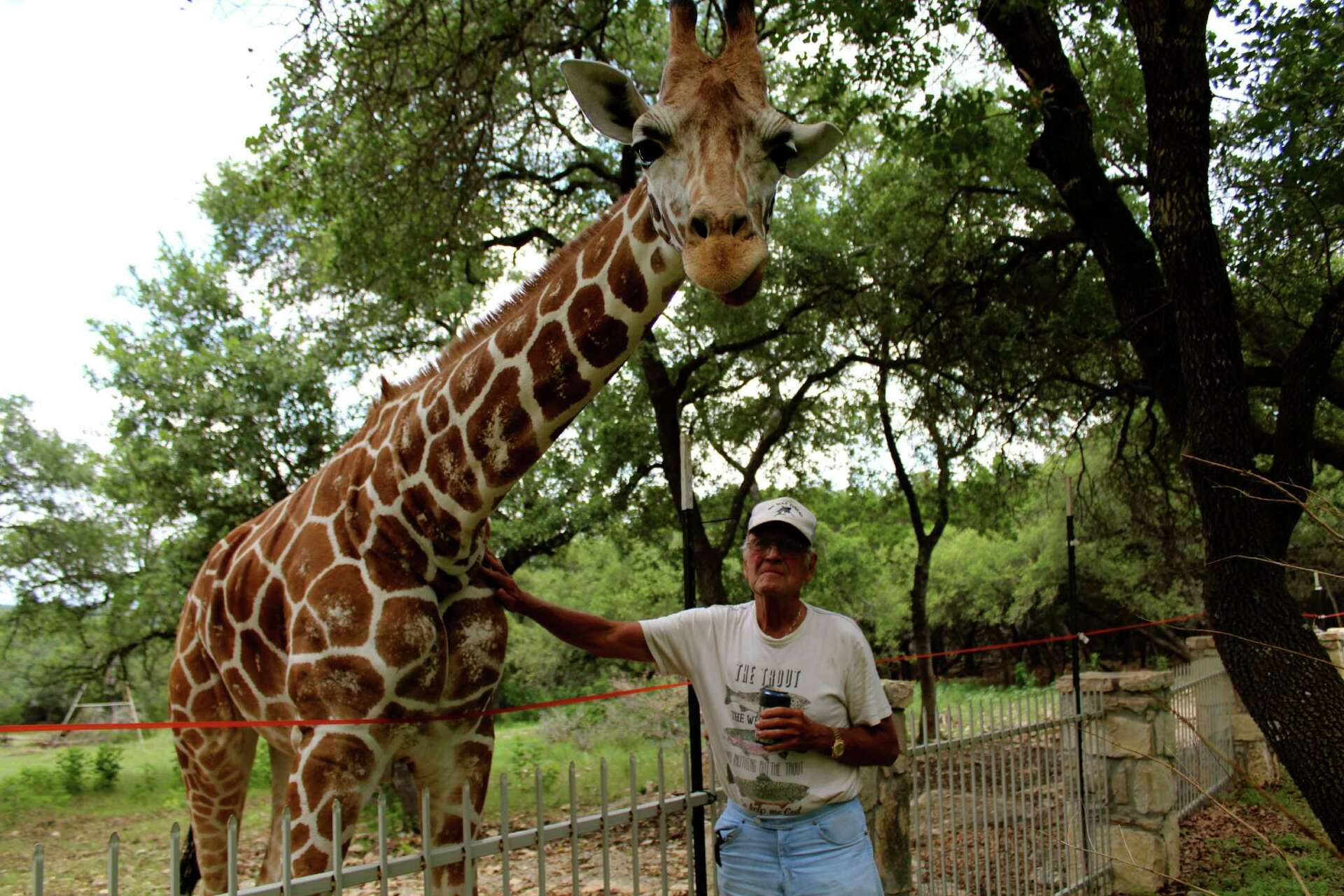 Where the wild things roam near the Comal County line