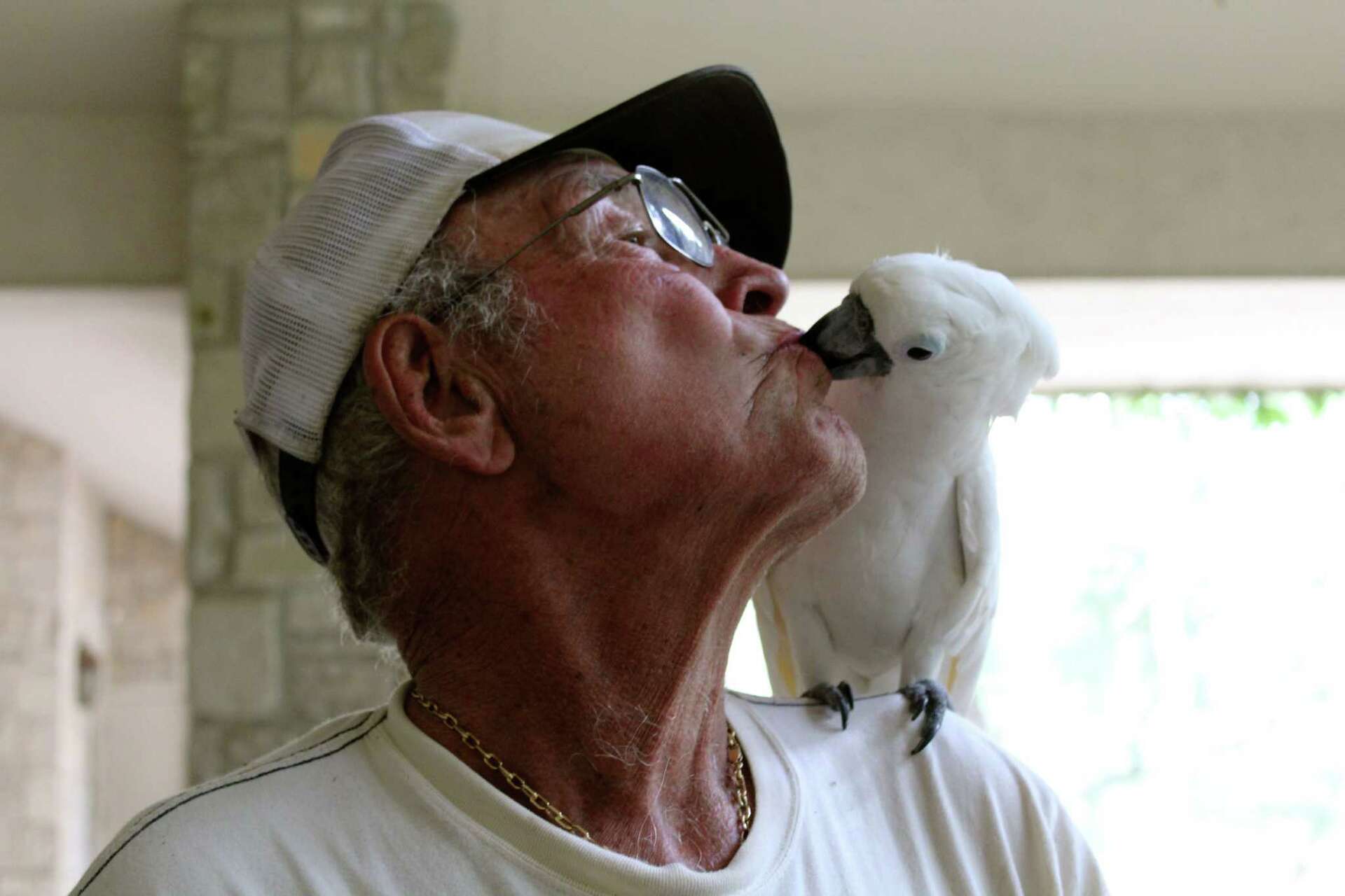 Where the wild things roam near the Comal County line