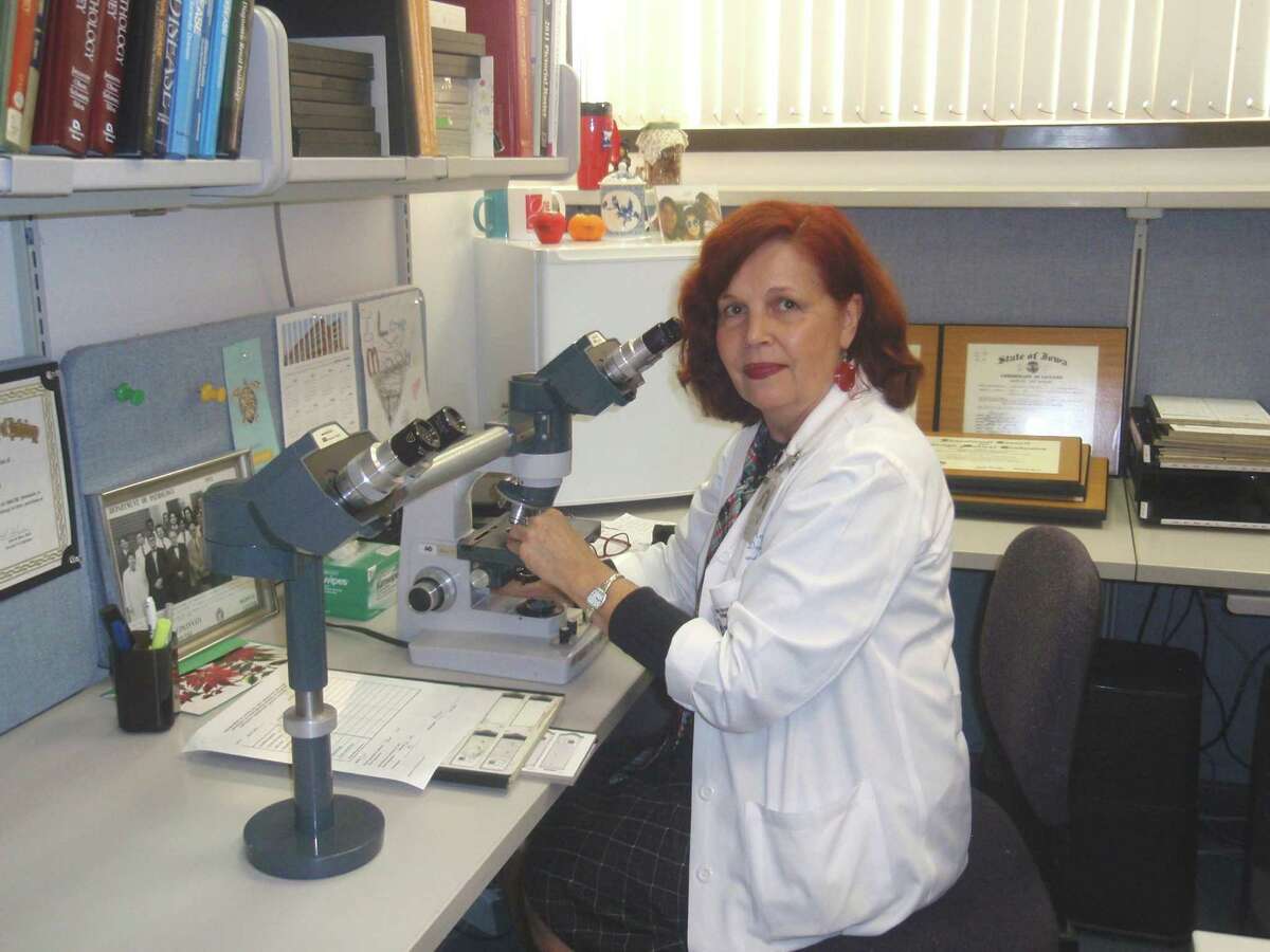 West U doc paints inner beauty of the kidney