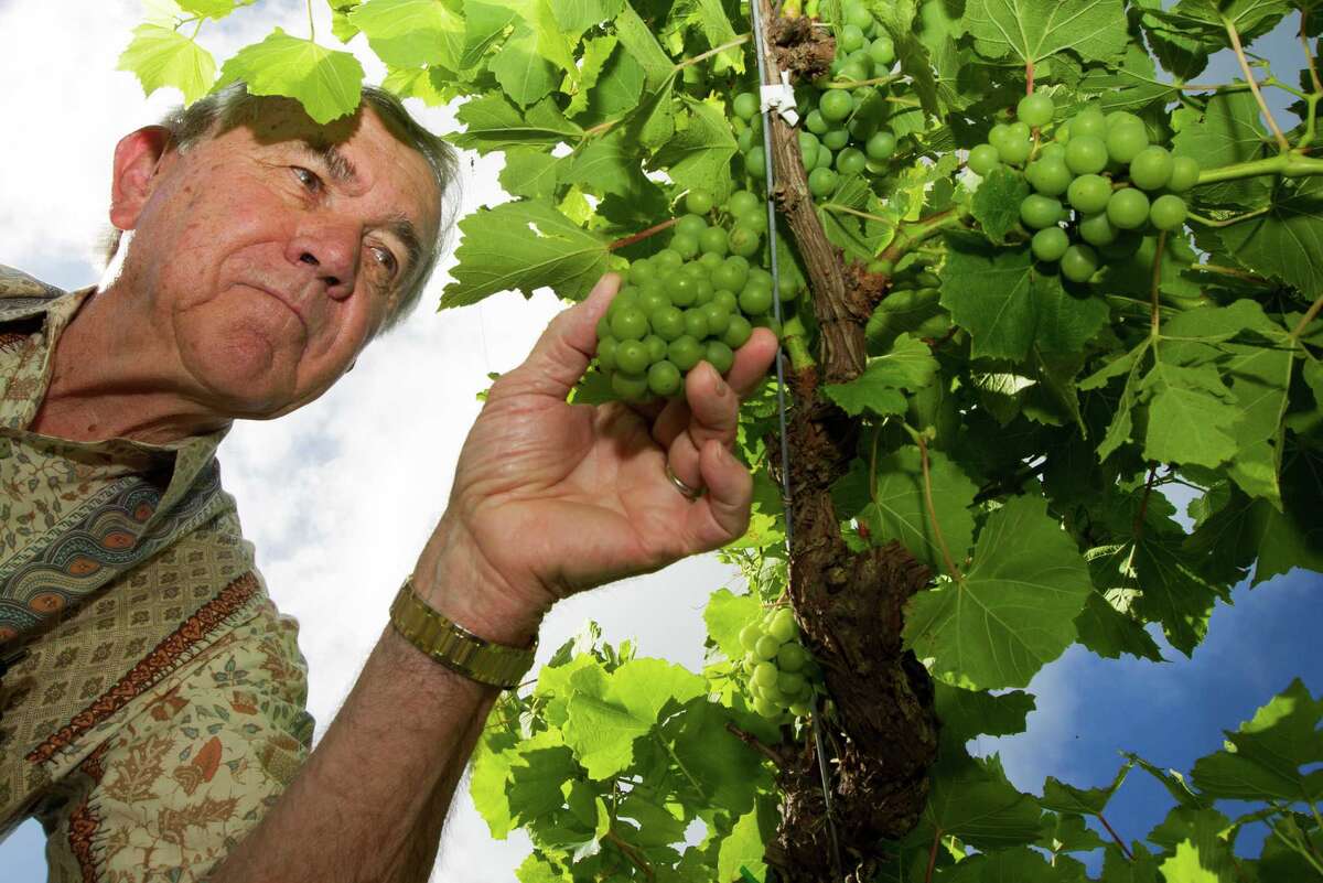 A little winery in Santa Fe is making a big name for itself