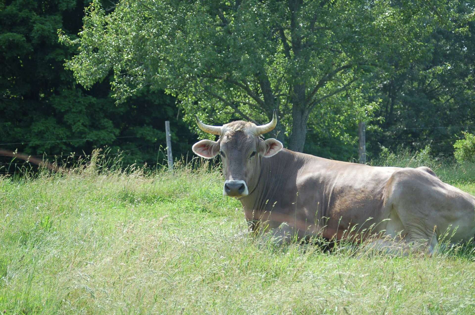 CT barns: cultivating history