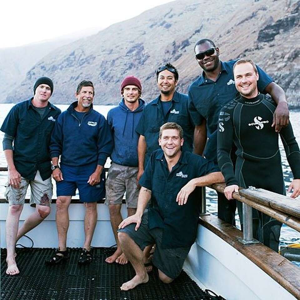 Go on a shark diving adventure