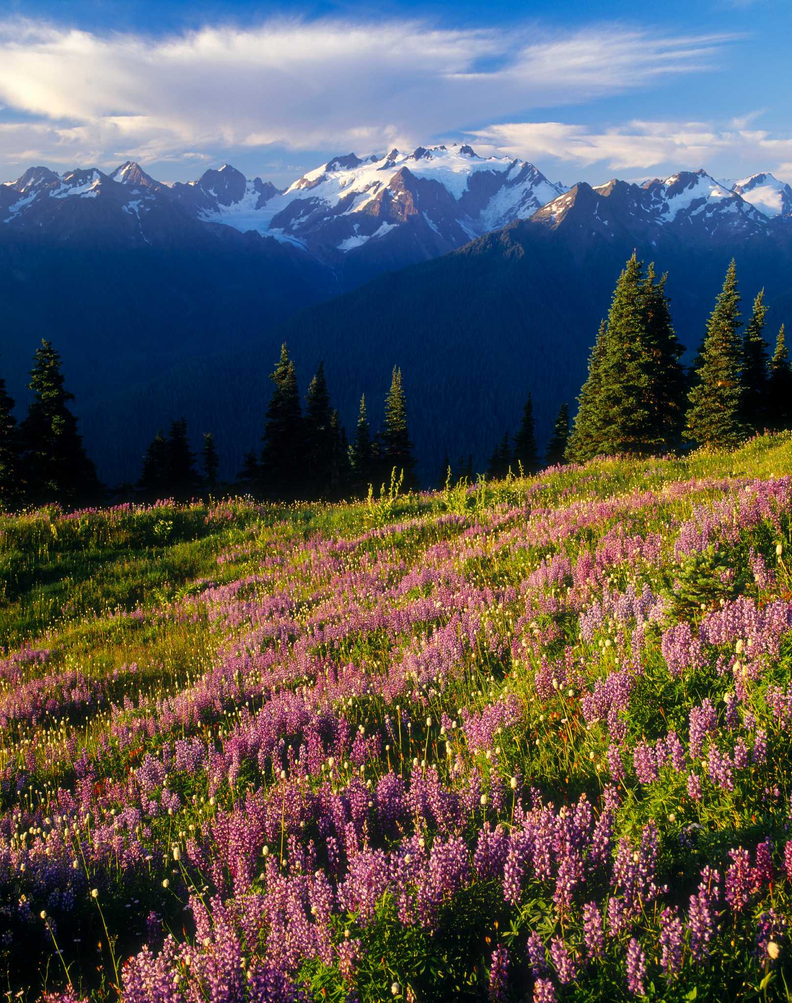 The 'Elite Eight': Ultimate hiking destinations of Washington state