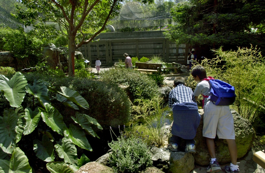 Recreation highlight: Coyote Point