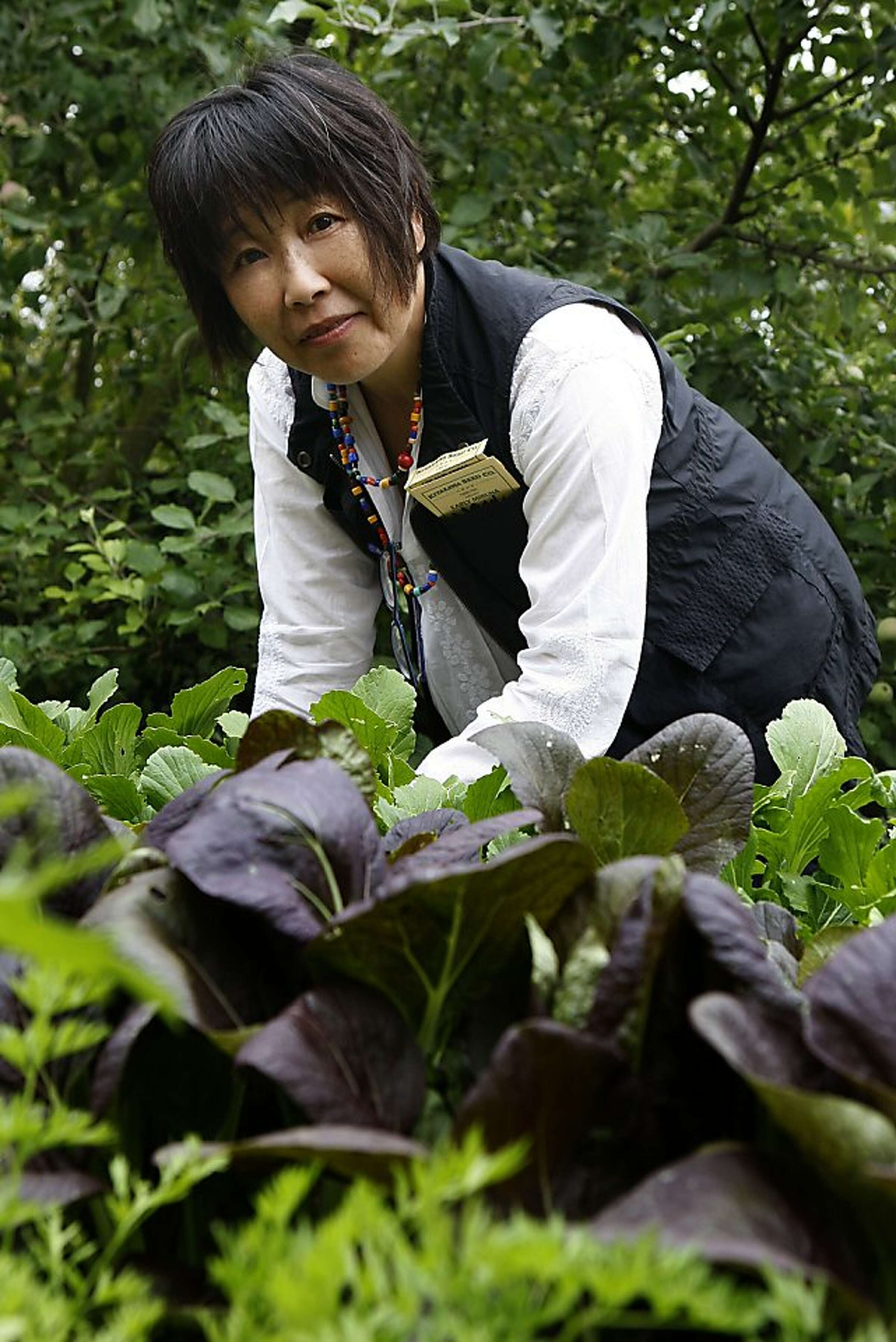 Kitazawa Seed connects cultures, traditional foods