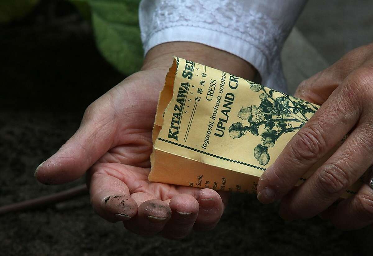Kitazawa Seed connects cultures, traditional foods