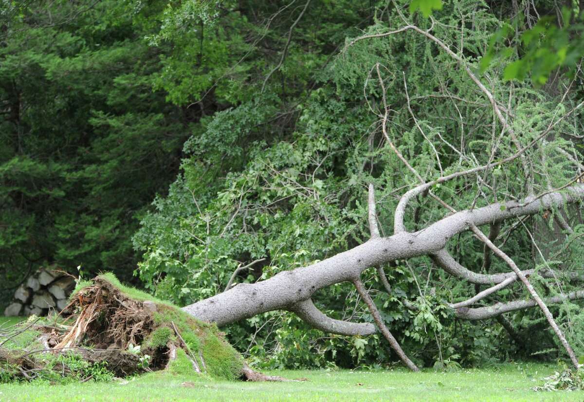 Residents describe twister that ripped through backcountry