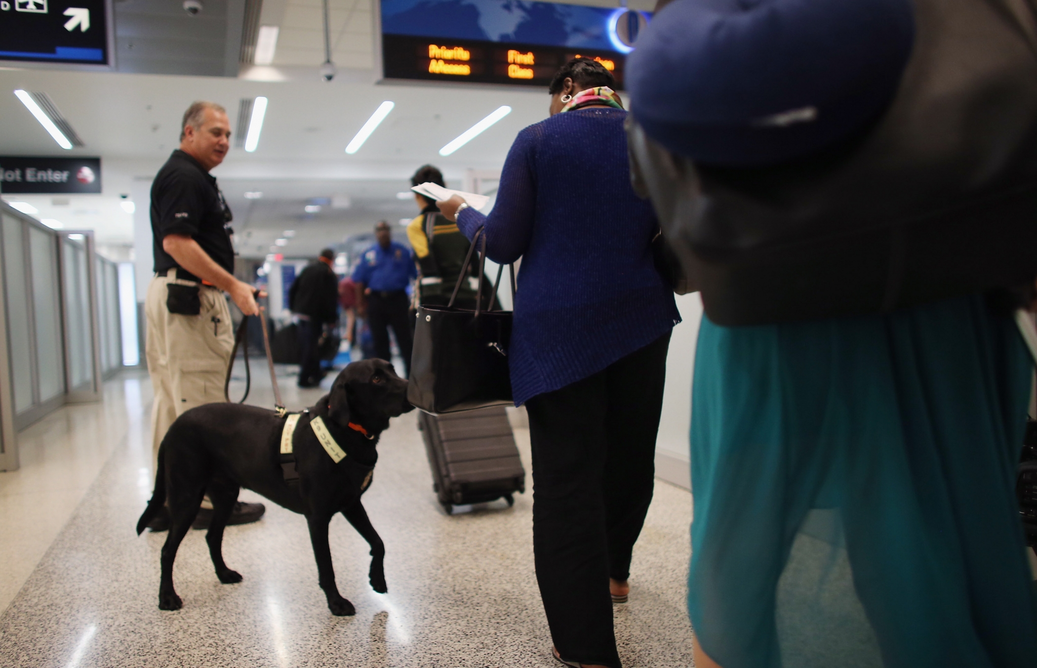 TSA tests bomb-sniffing dogs in a select few airports