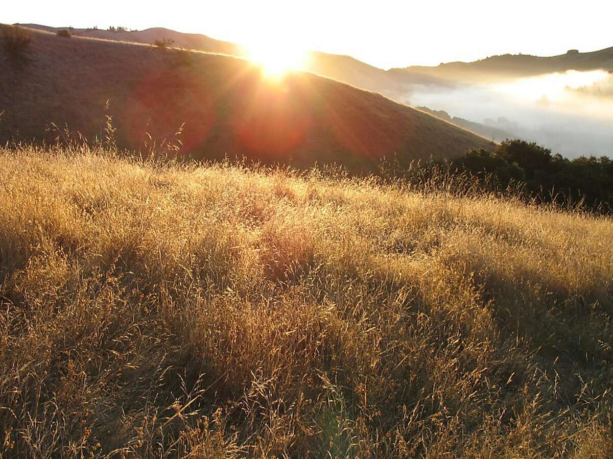 Spirit Rock at 25: meditation and renovation