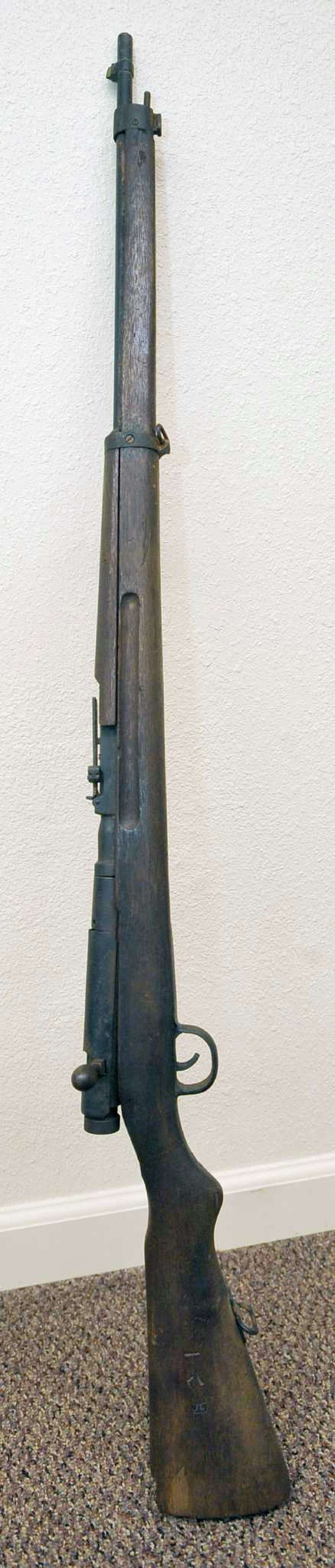 Vietnam vet uses experience to help others with PTSD