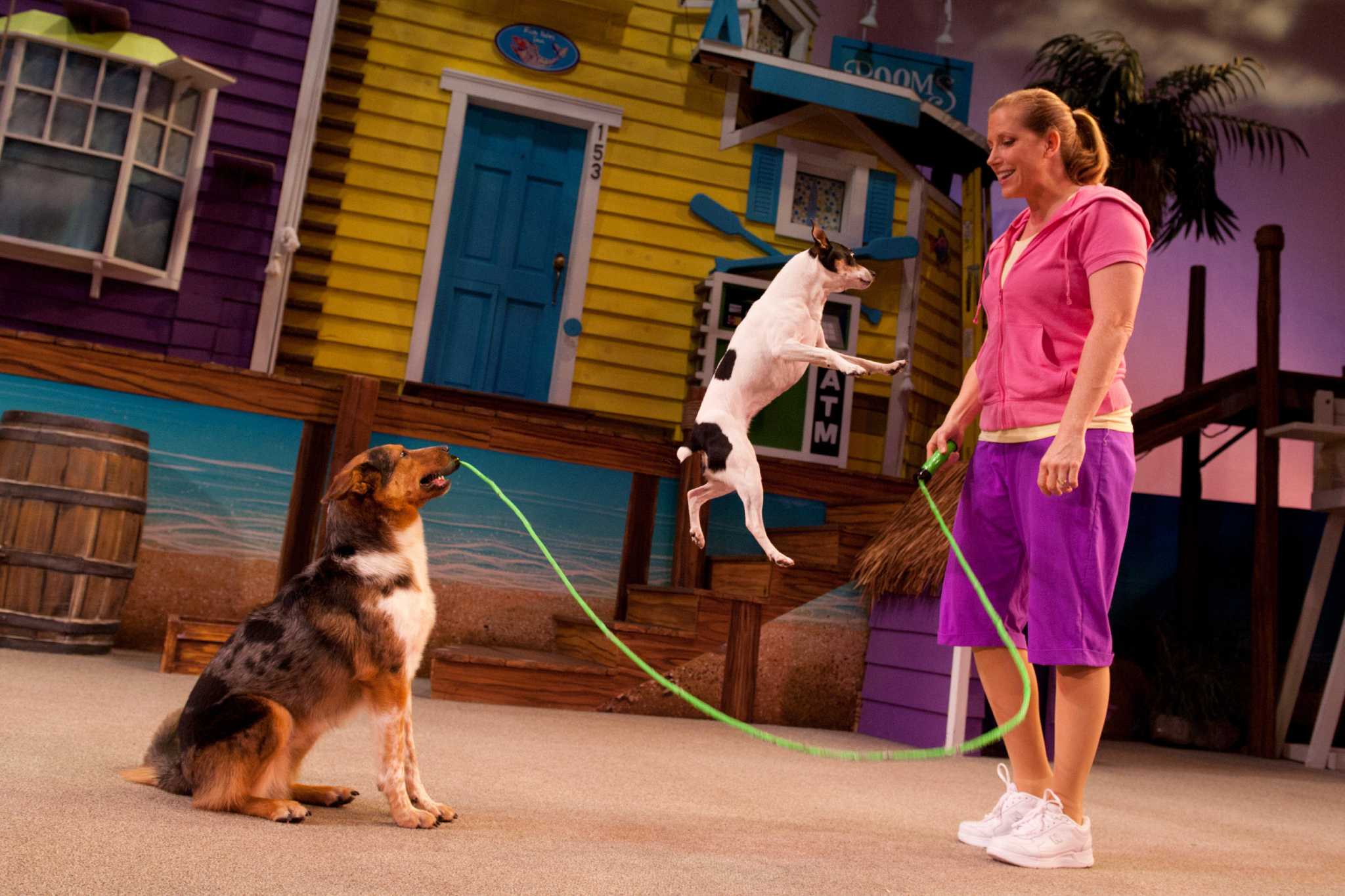 SeaWorld show features shelter creatures