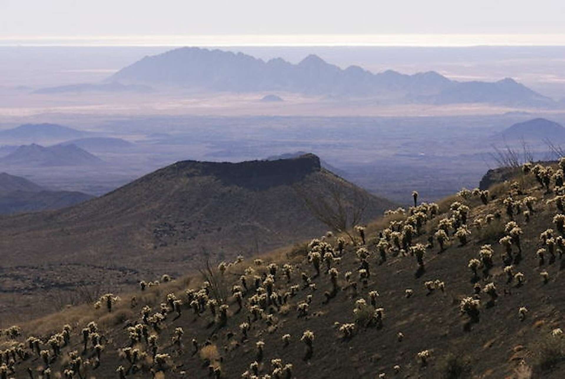 Space Shuttle Atlantis exhibition centerpiece