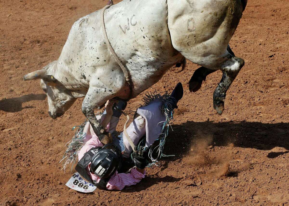 Rodeo injuries called most dangerous in sports world