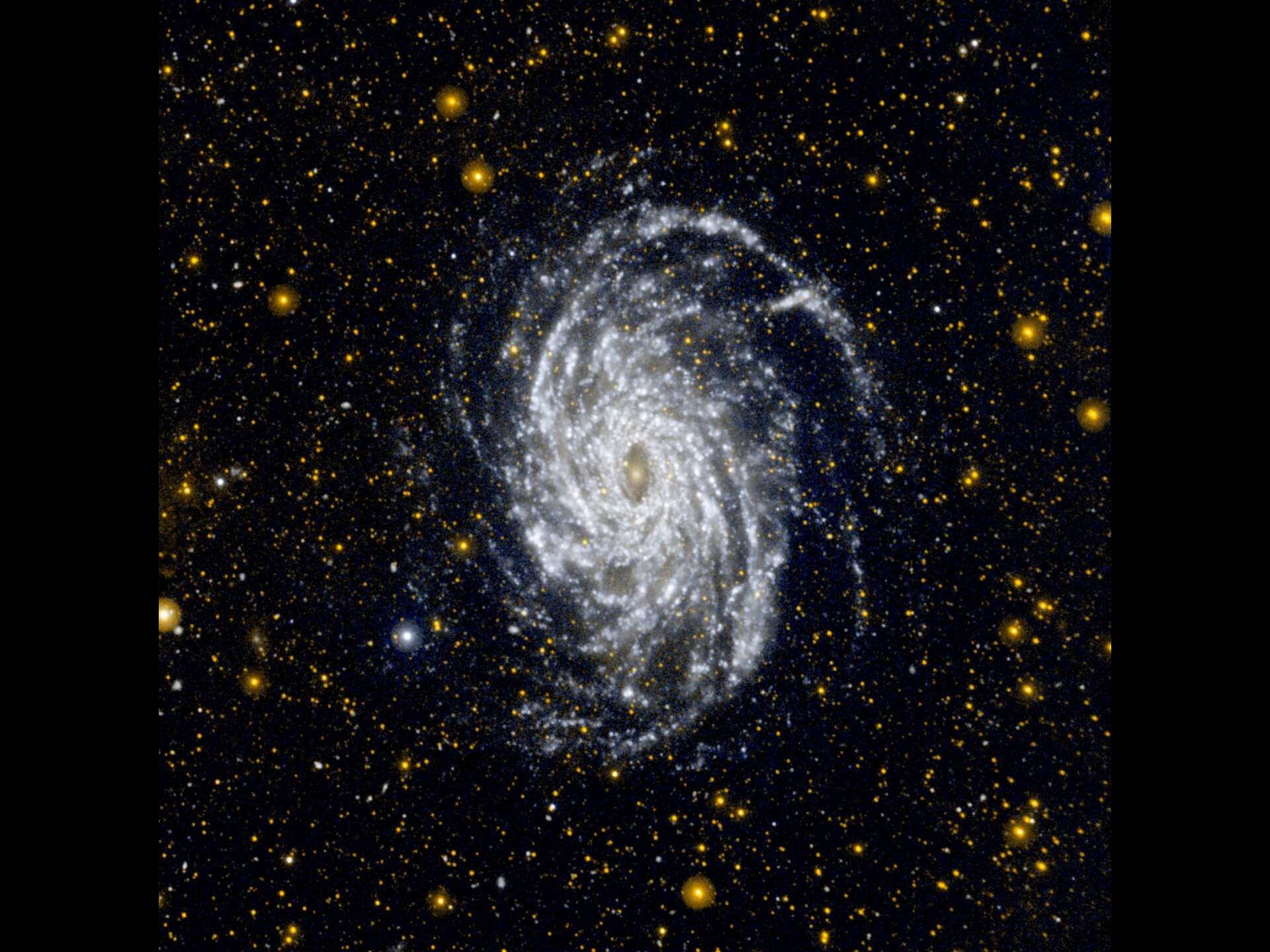 NASA telescope catches black hole's rare light show