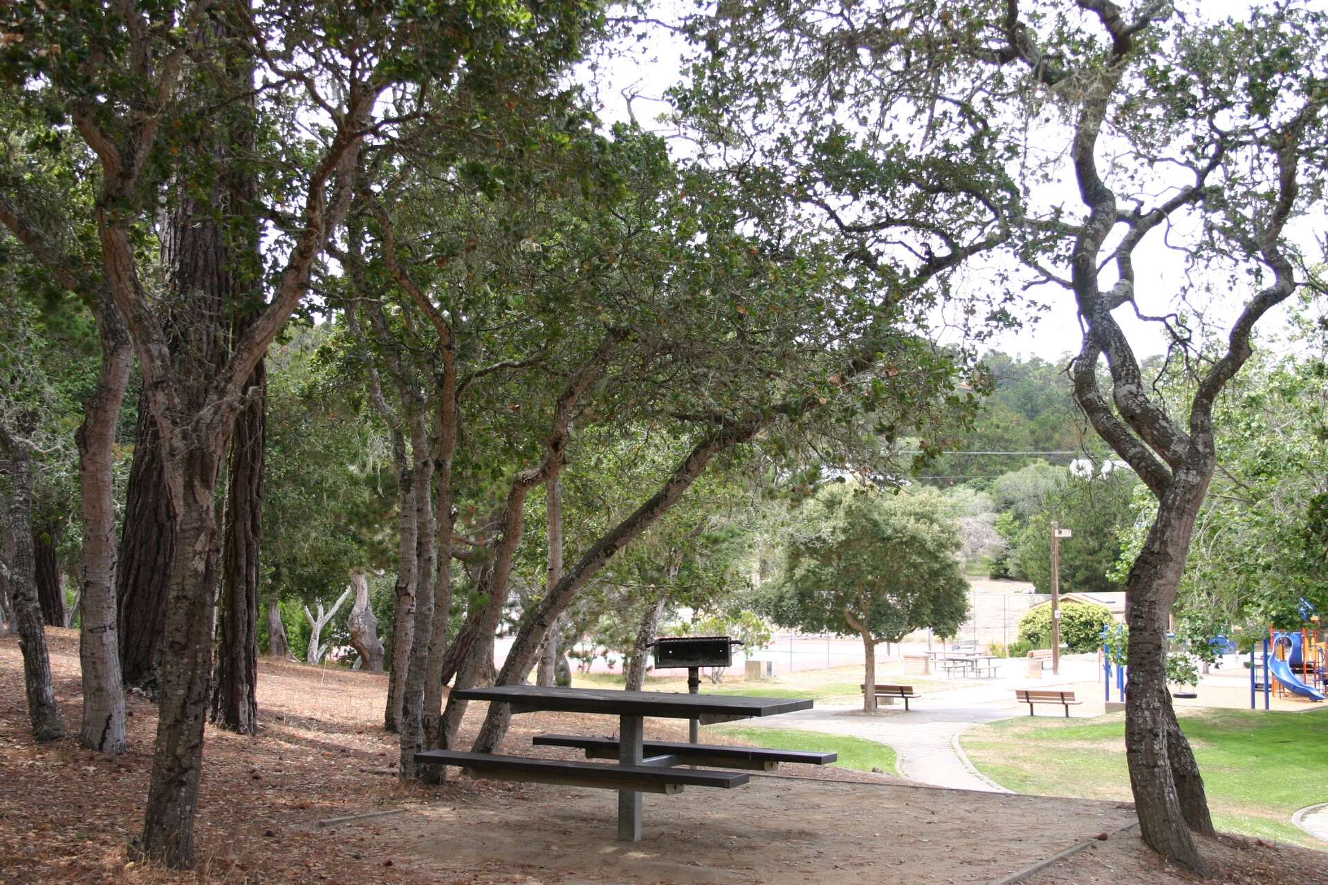 5 great parks for a picnic in Monterey County