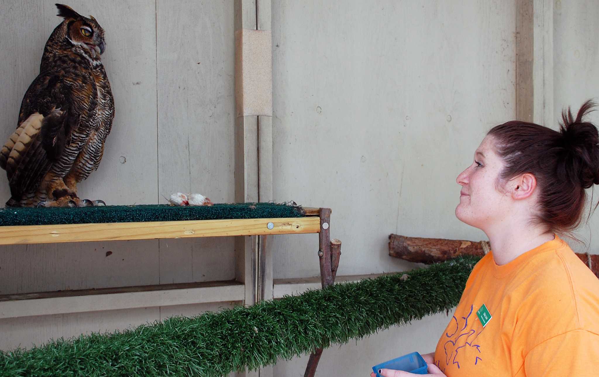 Check out what's on the menu for Earthplace menagerie