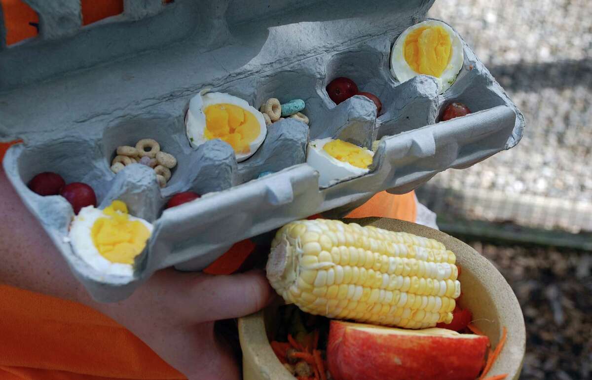 Check out what's on the menu for Earthplace menagerie