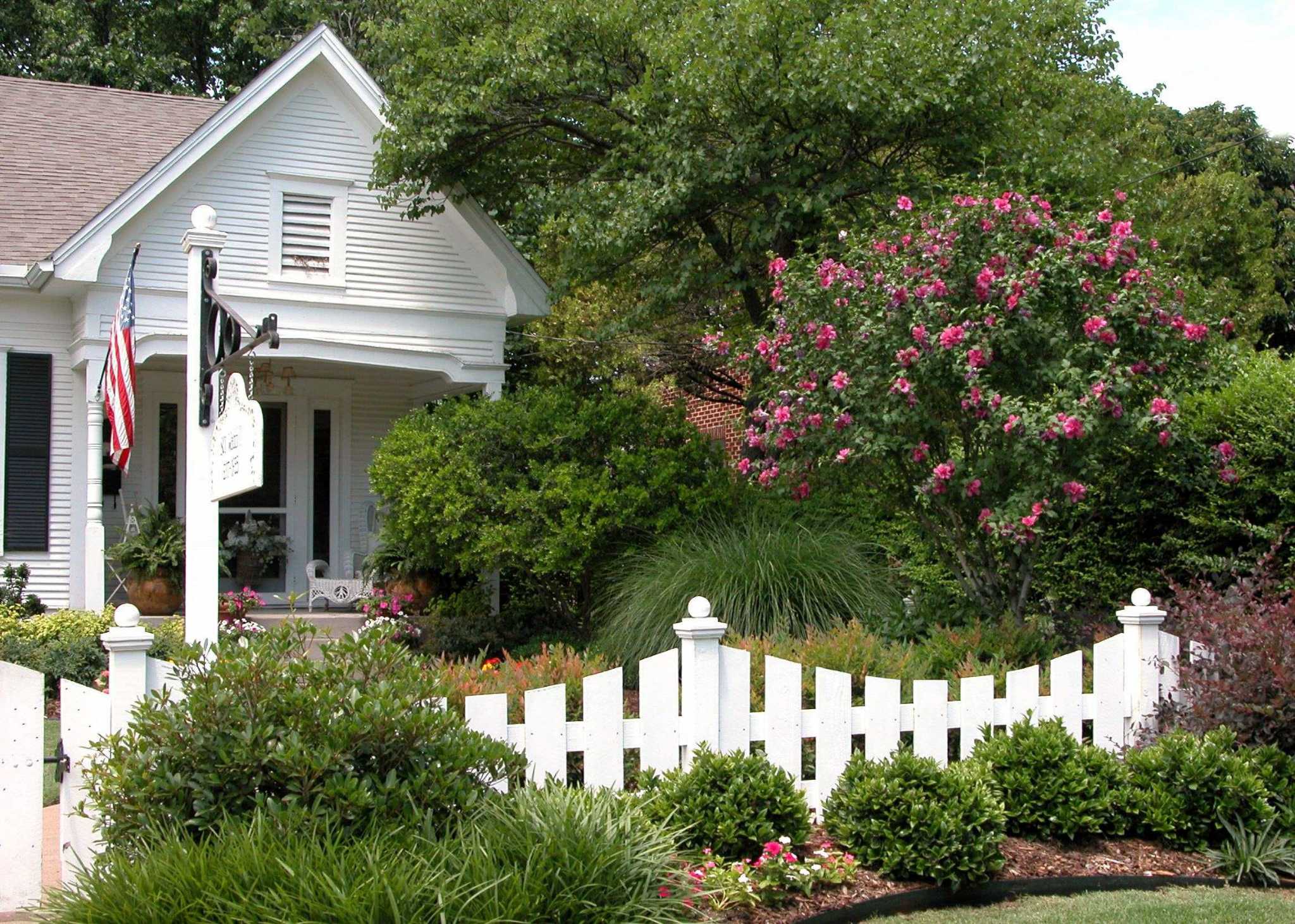 Tips on roses, grubs, and Bermuda grass seed