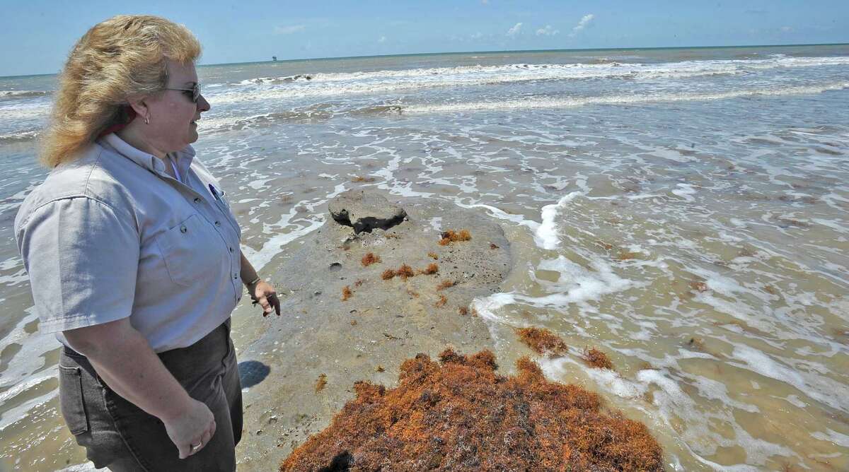 Galveston beaches overrun with unpleasant addition
